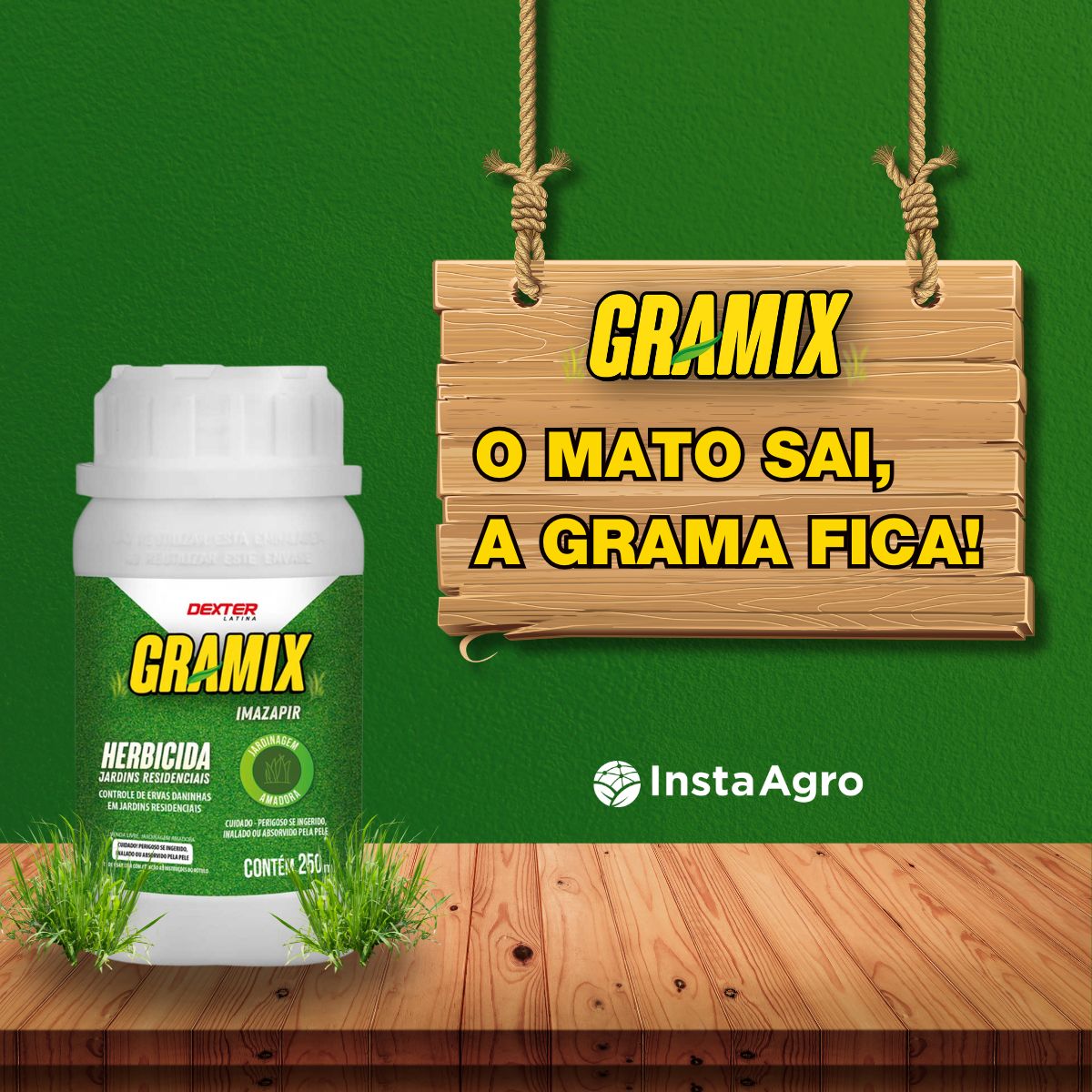 Herbicida Seletivo para Gramados Gramix 250ml - Dexter