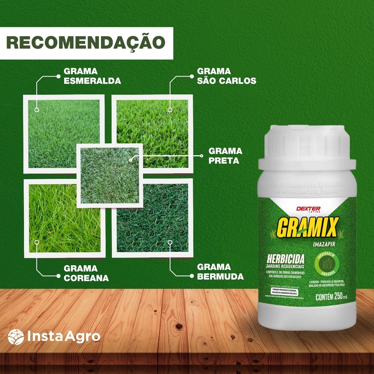 Herbicida Seletivo para Gramados Gramix 250ml - Dexter