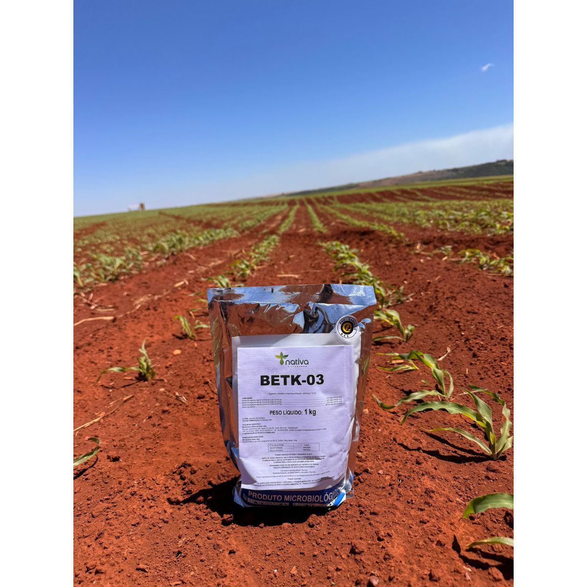 Inseticida Microbiológico Betk-03® WP Bio Insumos Nativa - Caixa ...